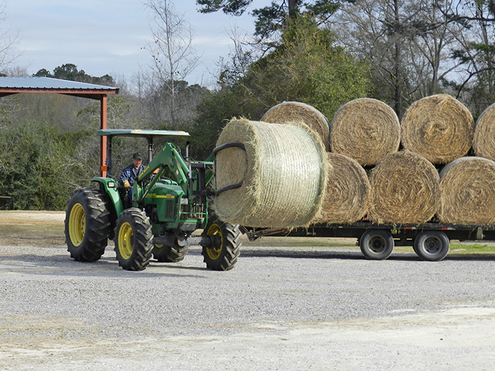 Storing Round Bales
